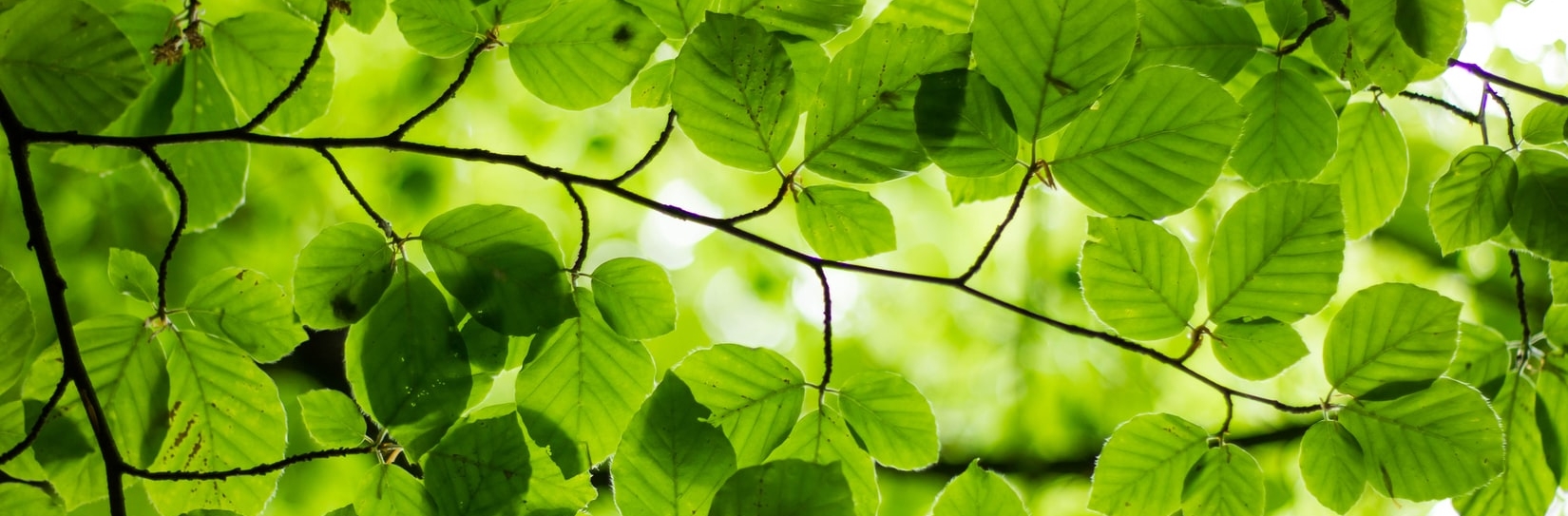 Nuttige links - KAN bouwen