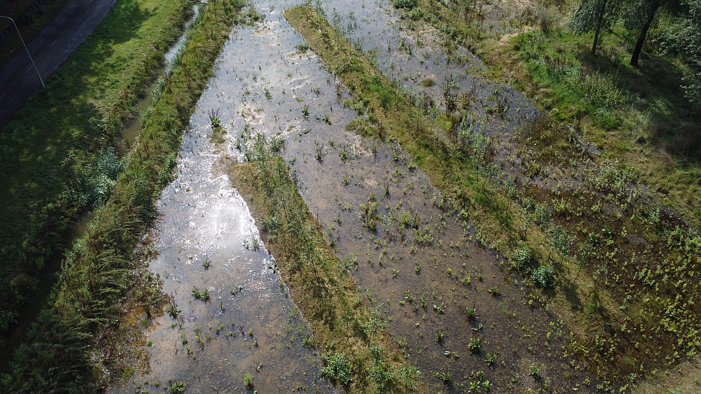 KAN excursie naar bovengronds regenwatersysteem in Eindhoven - KAN bouwen